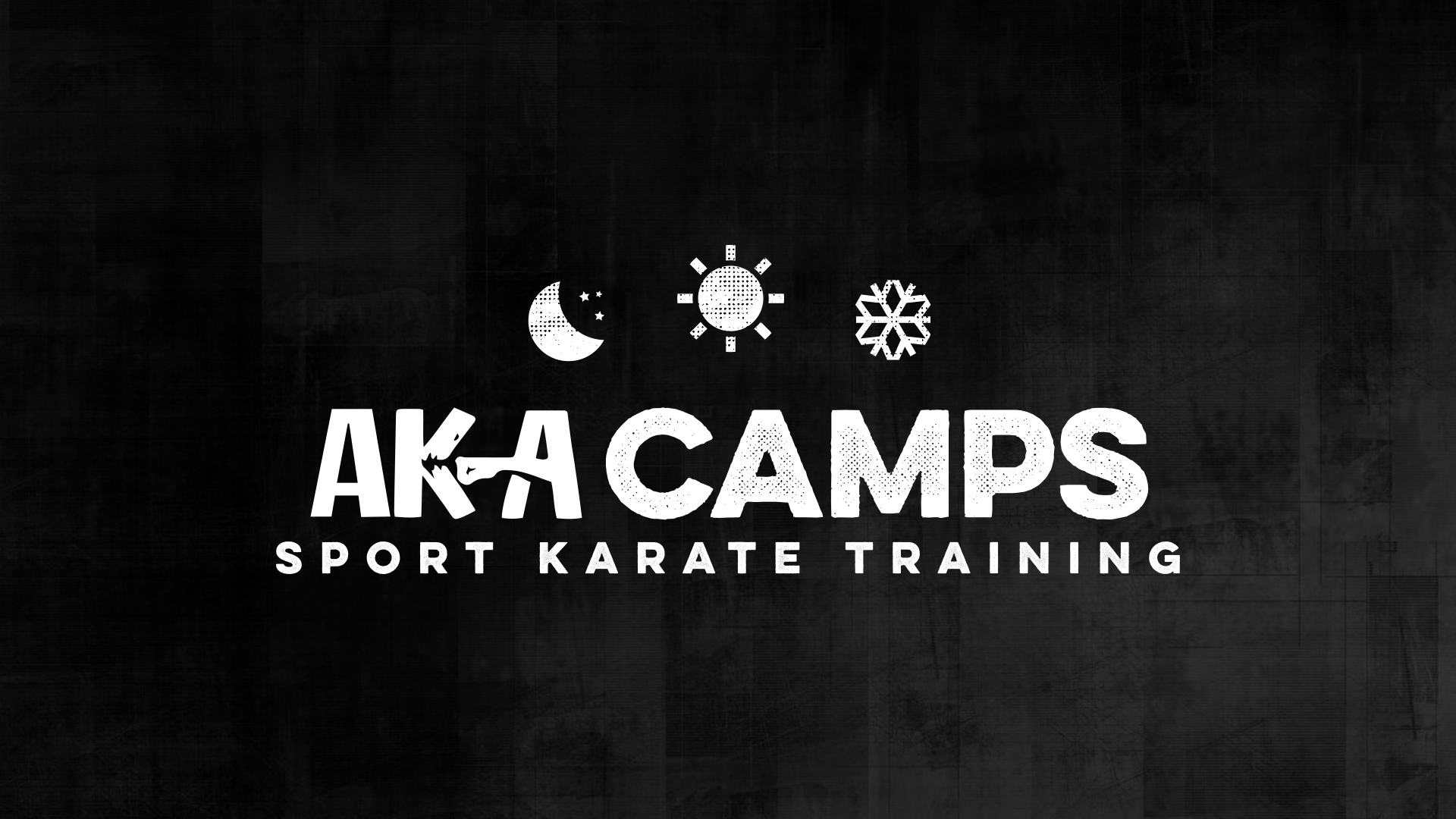 Camps - American Karate Association